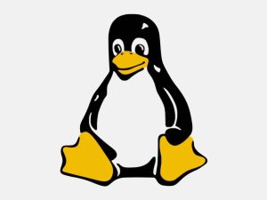 Biografía de Linus Torvalds: El Creador de Linux » Blog Linux