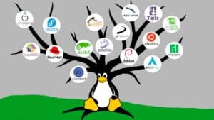 Distribuciones Linux: ¿Qué Distribución Linux Elegir? » Blog