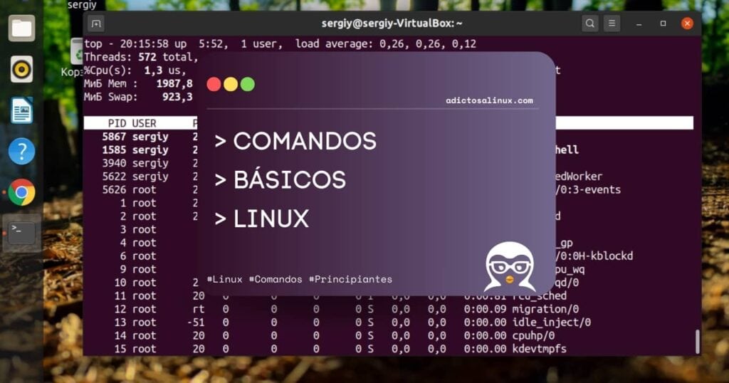 Domina los Comandos Básicos Linux: Guía para Principiantes