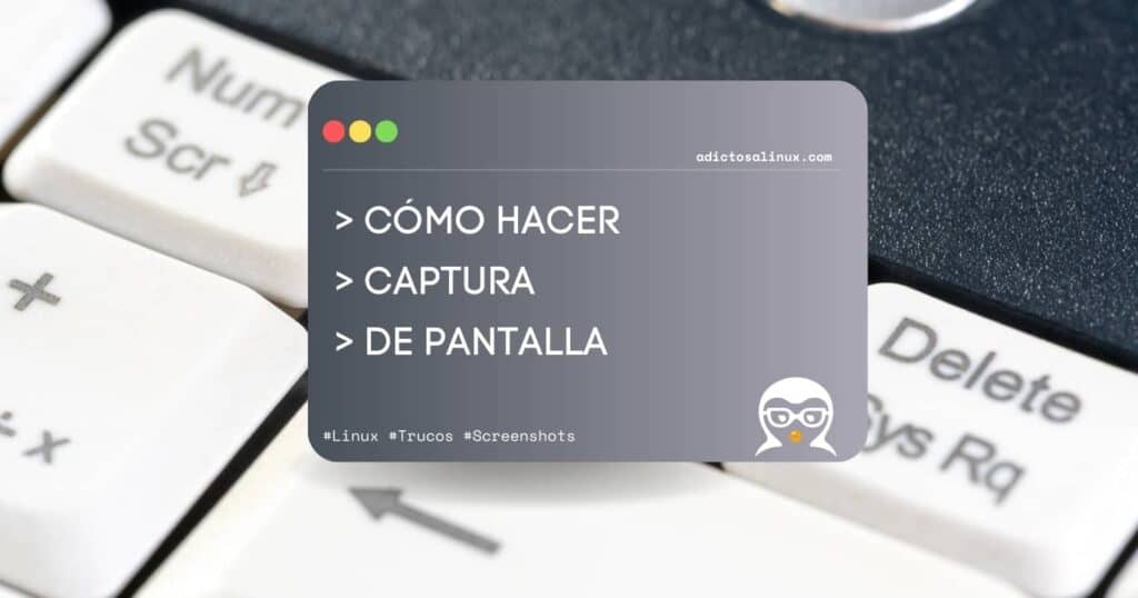 Cómo Hacer Captura de Pantalla Linux: Guía Definitiva » Blog