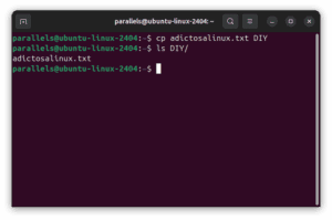 Domina los Comandos Básicos Linux: Guía para Principiantes